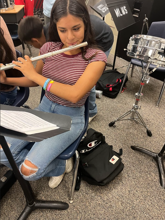 Mira Loma Middle School